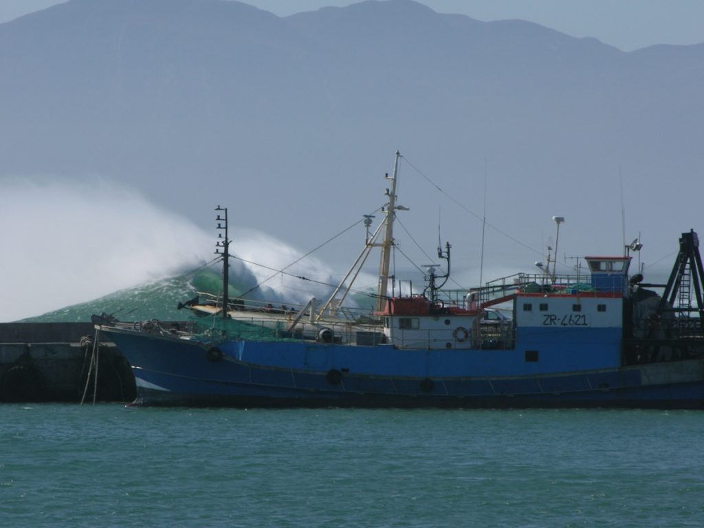 Small Harbour Development. SAICE Launches New Marine Division | Fishing ...