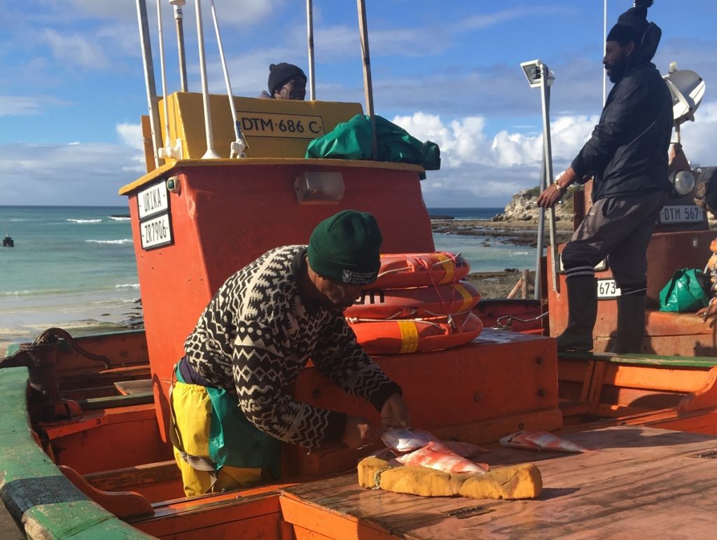 Small-scale. Happy Eastern Cape Fishers Get Rights | Fishing Industry ...