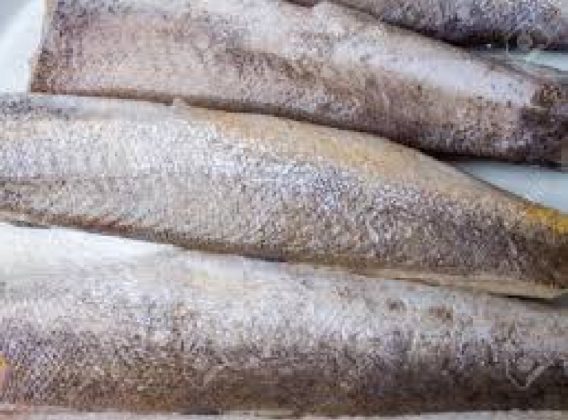Namibia Hake Trawl, Longline Fishery Closer to Certification | Fishing ...