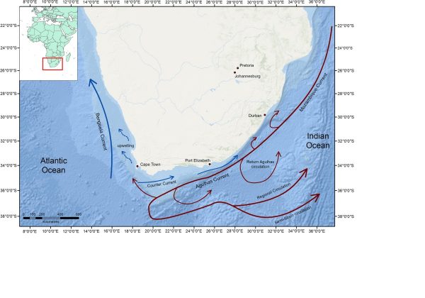 Mark the Dates. Oceans Economy Conference Soon | Fishing Industry News ...