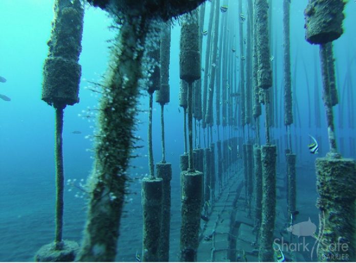 Keeping Sharks at Bay Using Technology is Cheaper than Exclusion Nets ...