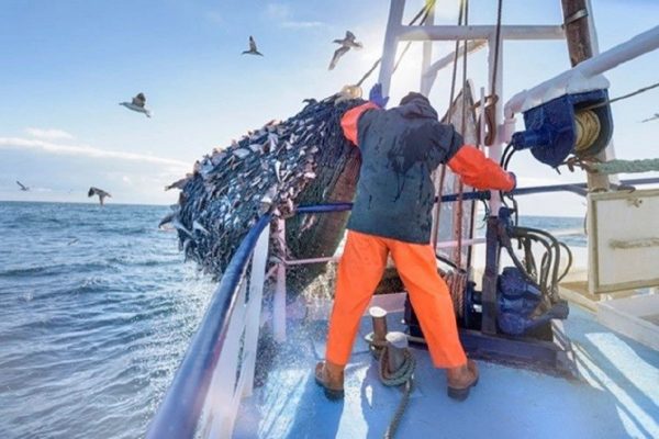 Report. Status of South Africa’s Marine Fishery Resources – What’s ...