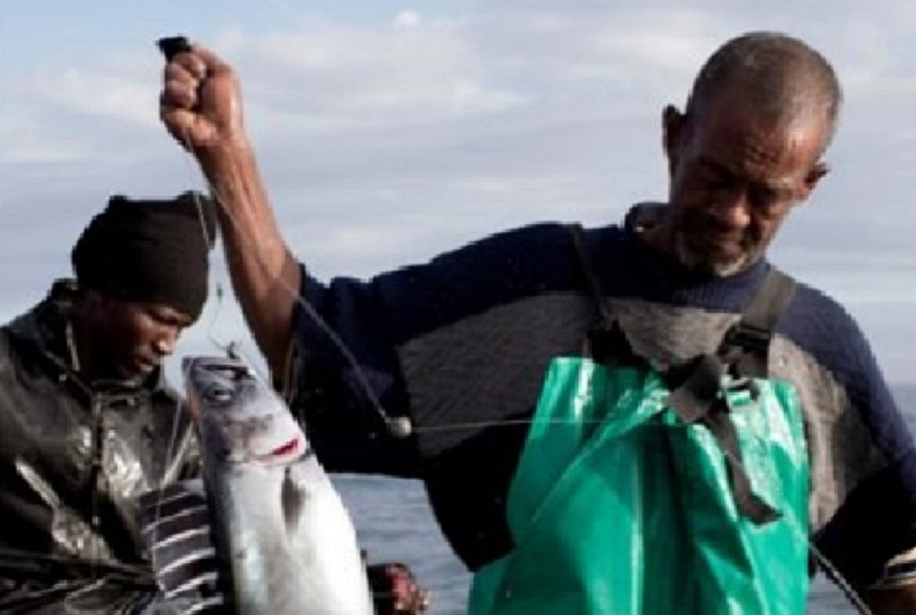 Making Good. Some Relief for Coastal Subsistence Fishermen | Fishing ...