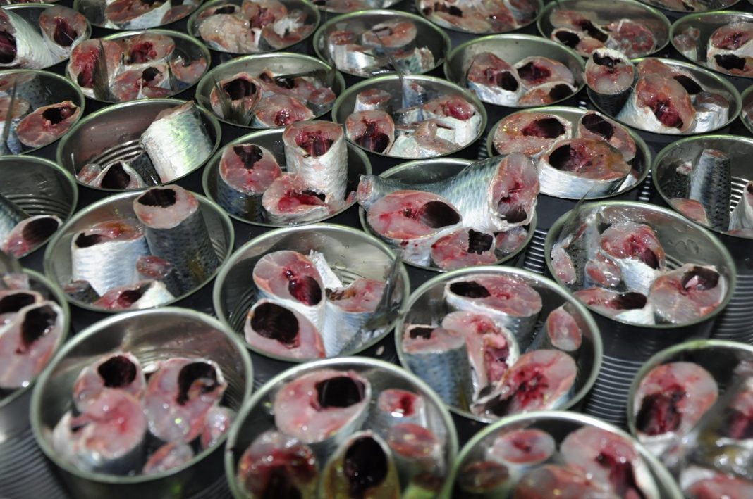 Namibia Pilchard Fishing Ban Extended | Fishing Industry News and ...