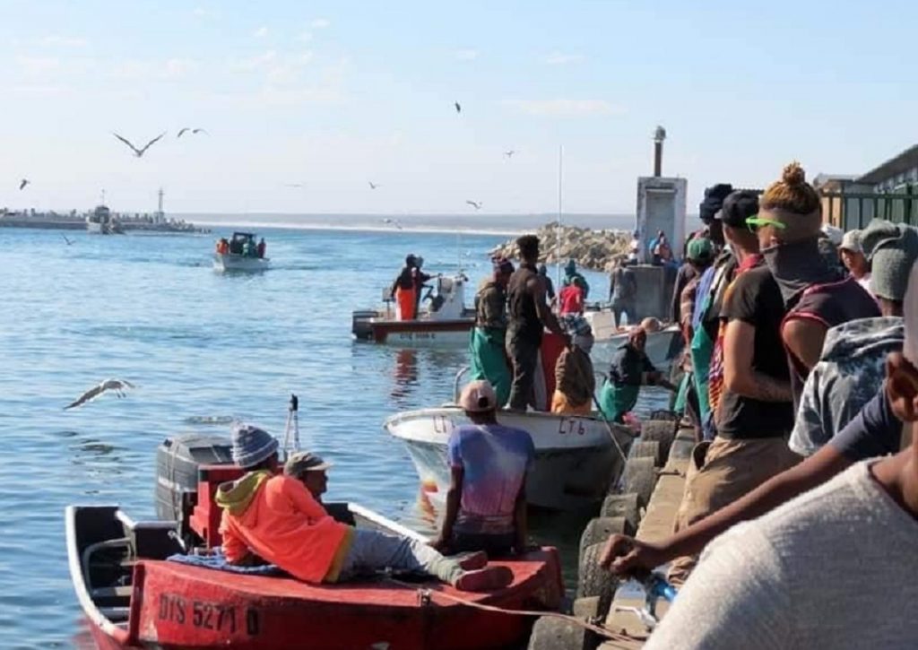 Lockdown Lessons. Building Resilience in Small-scale Fishing ...
