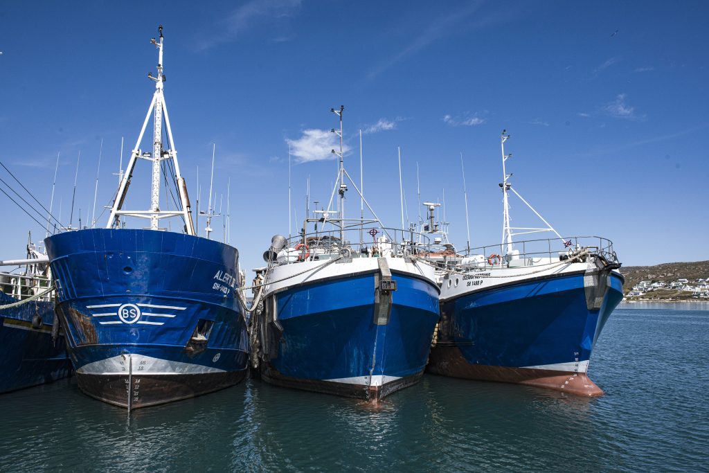 Oceana Group in Good Shape | Fishing Industry News and Aquaculture SA