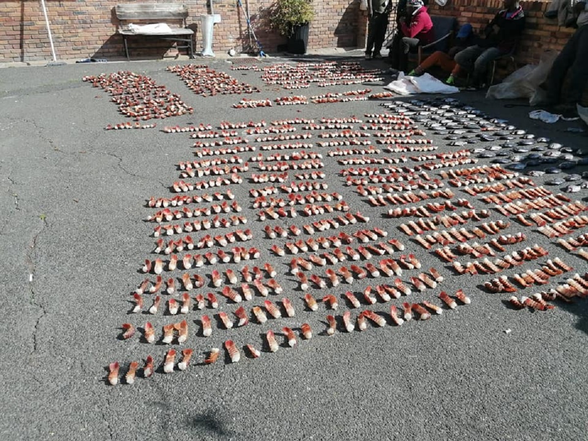 Lobster Trawler Seized in Anti Poaching Operation · Fishing Industry ...