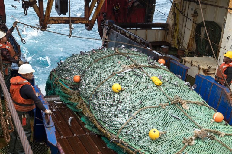 David Attenborough Doccie Stirs Bottom Trawling Debate | Fishing ...