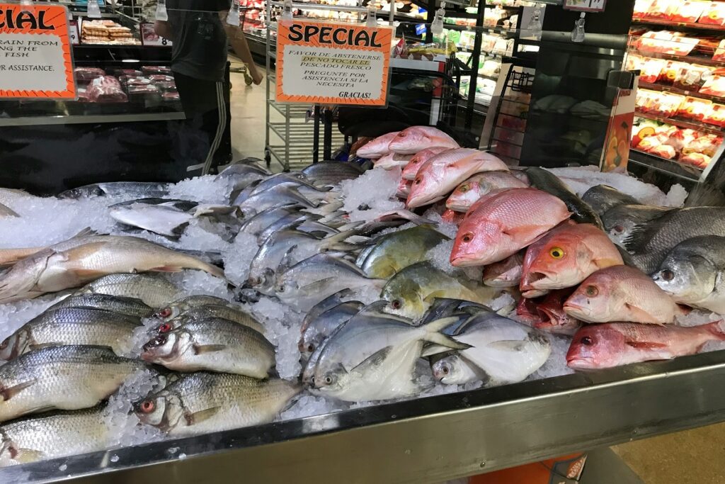 Anomalies in the Hake Value Chain | Fishing Industry News and ...